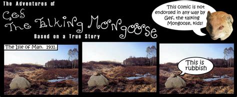 Gef Mongoose Quotes
