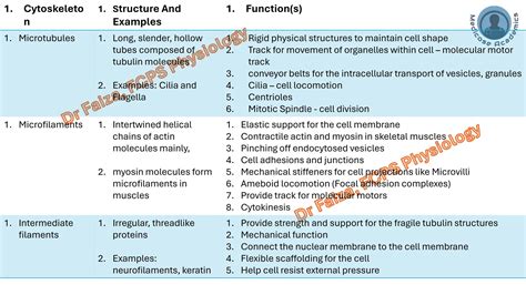 Cell Cytoskeleton And Molecular Motors Pdf