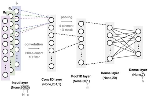 Proposed Cnn Model The Batch Dimension Number Of Samples In The