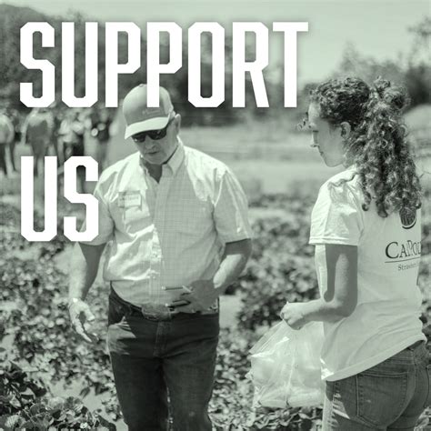 Lygus Bug Vacuum Featured In Vegetable Growers News Strawberry Center Cal Poly San Luis Obispo