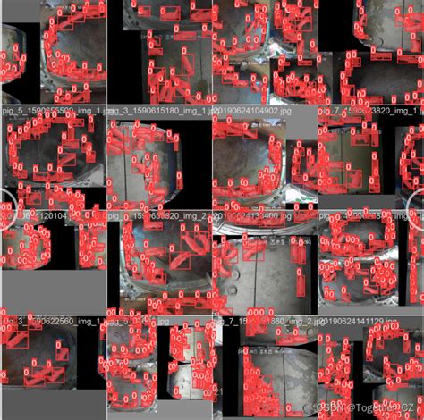 Python基于轻量级yolov5的生猪实例分割系统轻量 实例分割 Csdn博客