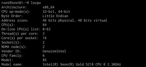 Linux Kernel And Measuring Network Throughput DEV Community