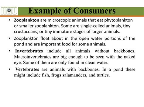 Ppt Ecology Of Fish Pond Ecosystem Pptx