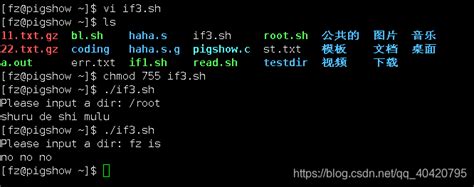 linux中的shell编程之条件判断if语句 shell if o csdn博客