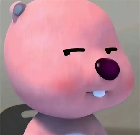 Tải Ngay 458 ảnh Meme Loopy Hài Cute Hot Trend Hài Hước