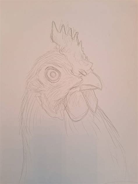 Scetch By Radish5000 On Deviantart