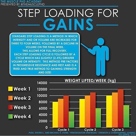 Progressive Overload A Key Training Principle To Strength And Size Improvements Simply Put