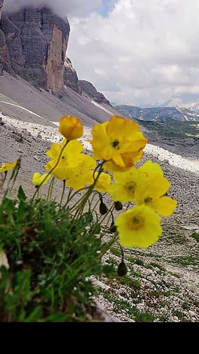 이태리 돌로미티 트레치메 이태리 돌로미티 트레치메 알프스 이태리알프스 산 트레킹 Youtube