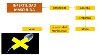 Infertilidad Masculina Pptx