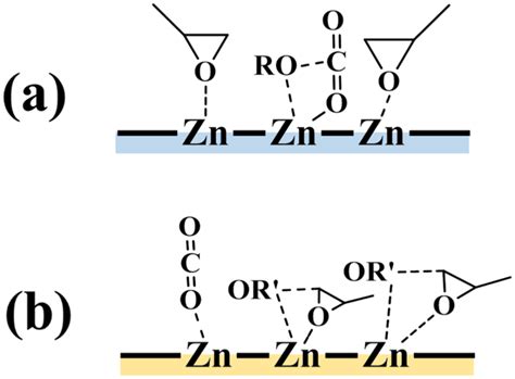 Plausible Co2 Activation Mode Of Zn‐co Dmc Catalyst A And Znga Download Scientific Diagram