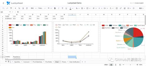 一款纯前端类似excel的在线表格luckysheet 极客之音