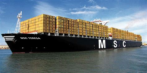 Container Line Msc Labelled The Eus Seventh Biggest Carbon Polluter Tradewinds