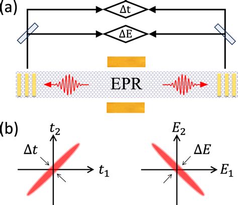 A Schematic Of The Experiment Setup For Coincidence Measurement Of Download Scientific