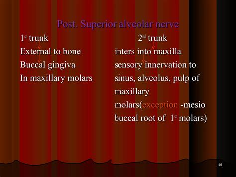 Trigeminal Nerve Dr Gosai Ppt