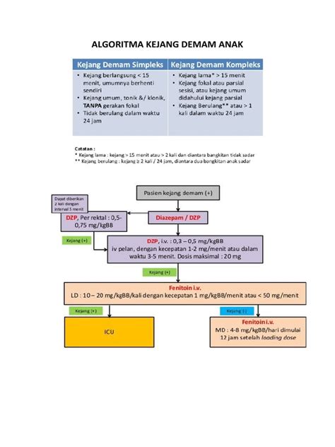 Algoritma Kejang Demam Anak Pdf