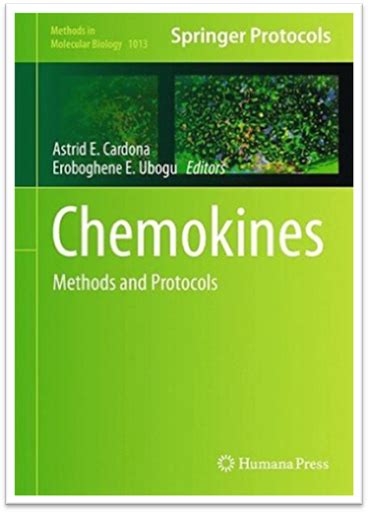 Best 12 Methods In Molecular Biology Vol384 Capillary Electrophoresis Methods And Protocols