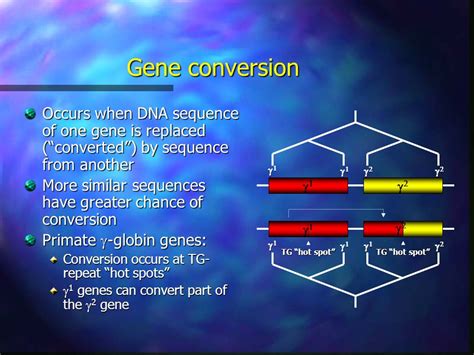 Mutations And Recombination Level 3 Molecular Evolution And
