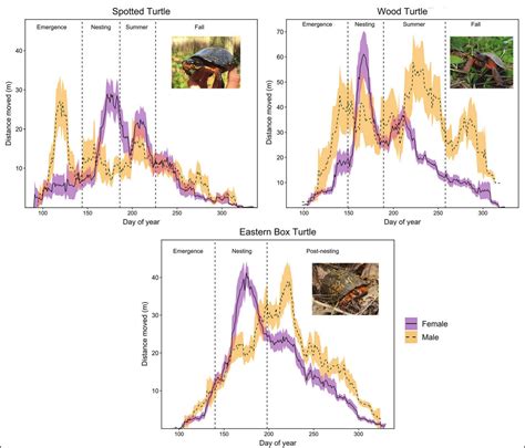 Long Term Spatial Ecology Of Three Long Lived Turtles