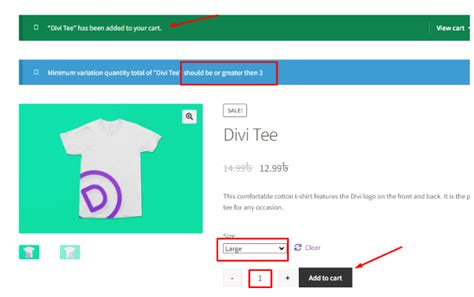 Variations Quantity Control Each Total Min Max Control CodeAstrology