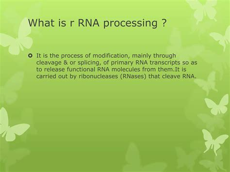 R Rna Processing Pptx Chemistry Science