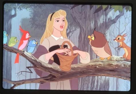 Sleeping Beauty Walt Disney Animation Stamped Original 35mm