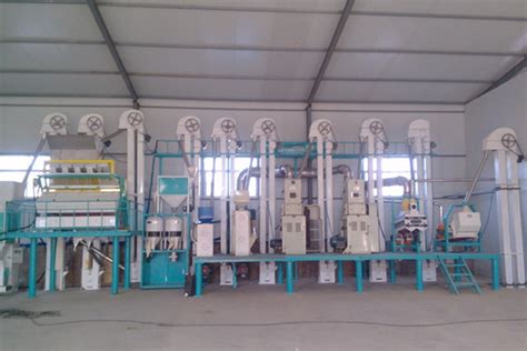Complete Quinoa Processing Plant Grain Processing Equipment
