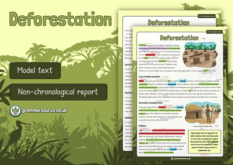 Beautiful Non Chronological Report Year 4 Wagoll Example Methods Section Biology Lab Of