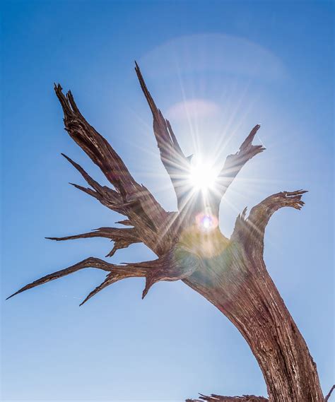 Getting To The Root Of The Problem Ellel Uk Courses