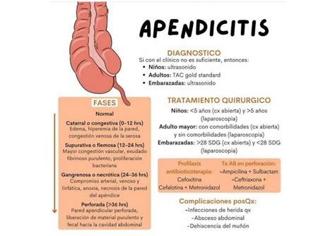 Apendicitis Fraii Udocz