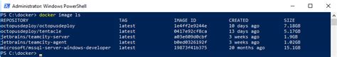 Lessons Learned Using Docker For Development And Testing On Windows Octopus Deploy