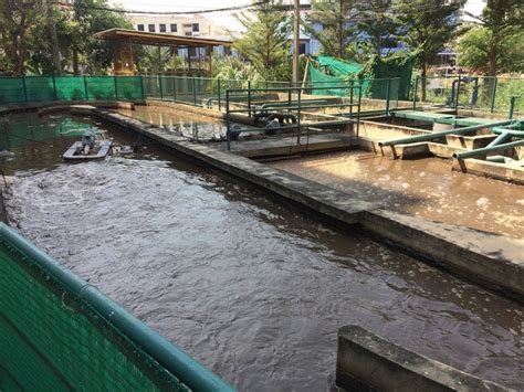 Cycloidal Reducer In Mixer Industry Yongzhuan Motor