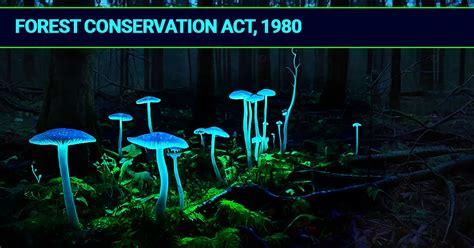 Forest Conservation Act 1980 Chinmaya Ias Academy Current Affairs
