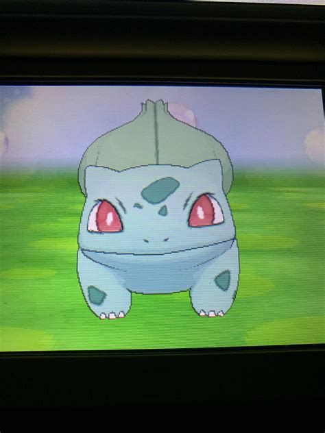 이상해씨 포켓몬 에펨코리아