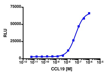 Pathhunter® Ccr7 Activated Gpcr Internalization U2os Cell Line Discoverx