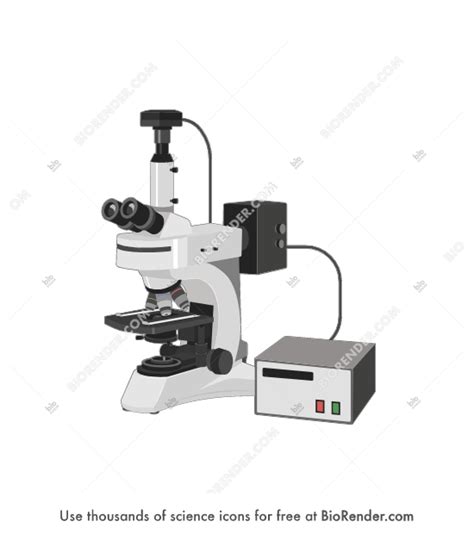 Free Fluorescence Microscope Icons Symbols And Images Biorender