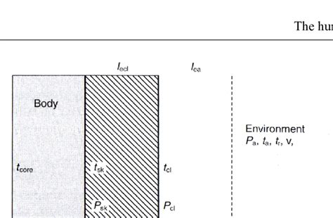 3 Two Parameters Model Representation Download Scientific Diagram
