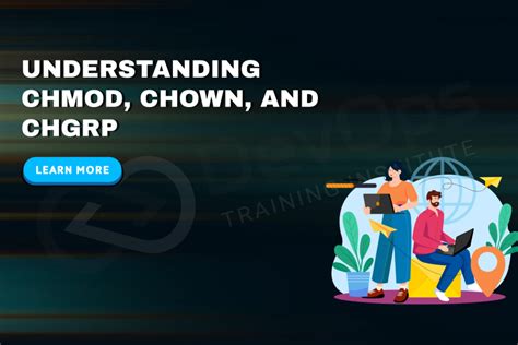 What Is The Difference Between Chmod Chown And Chgrp Commands Top Devops Training Institute