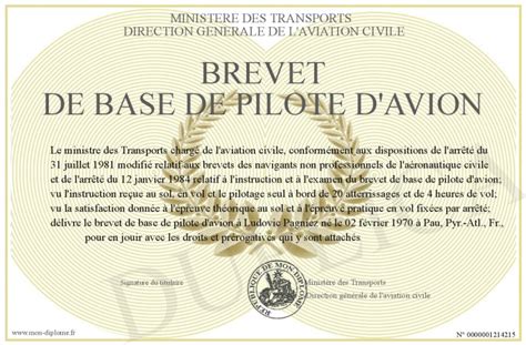 Brevet De Base De Pilote D Avion