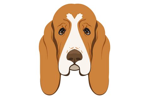 Basset Hound Face Icon Funny Cartoon Do Graphic By Onyxproj · Creative