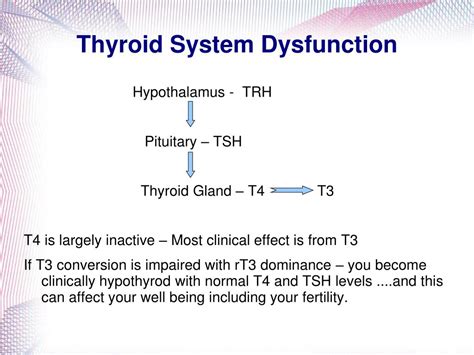 Ppt Thyroid System Dysfunction Powerpoint Presentation Free Download