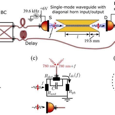 A Experimental Setup Pmf Polarization Maintaining Fibres Thorlabs Download Scientific