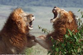 Coole Wallpaper Porno Bilder Sex Fotos Xxx Bilder Pictoa Com