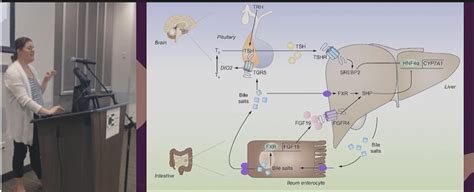The Science Behind Subclinical Hypothyroidism Collaborative Education