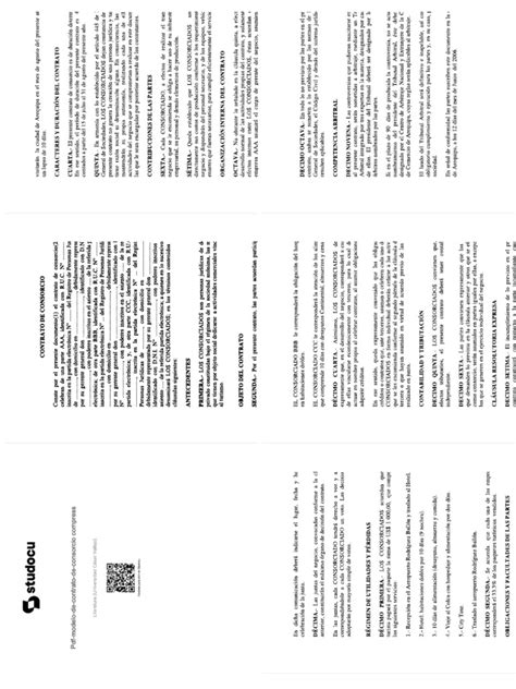 Modelo De Consorcio Derecho Pdf