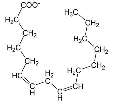 Solved H C Coo Ch H C Hc Ch Ui H C Ch H C Ch H C H C Chegg Com
