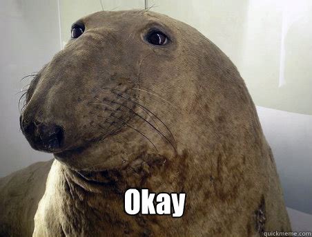 Ok Animal Memes Quickmeme