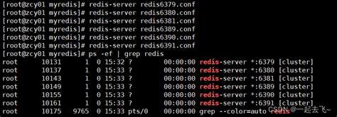 集群搭建redis）（超详细）redis集群搭建 Csdn博客