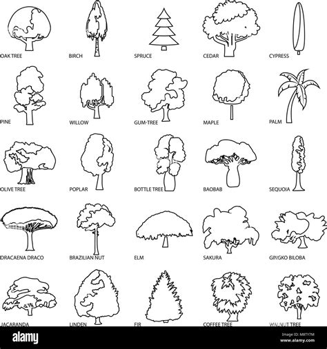 Tree Types Icons Set Outline Style Stock Vector Image Art Alamy
