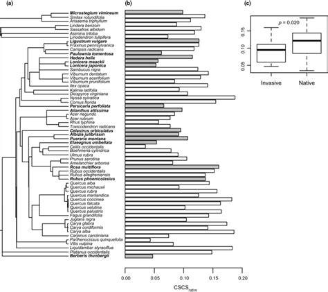 Invasive Plant Species Are Less Chemically Similar Than Native Species