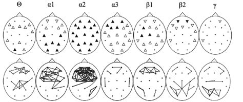 Differences In The EEG Frequency Power Between Male Subgroups During Download Scientific